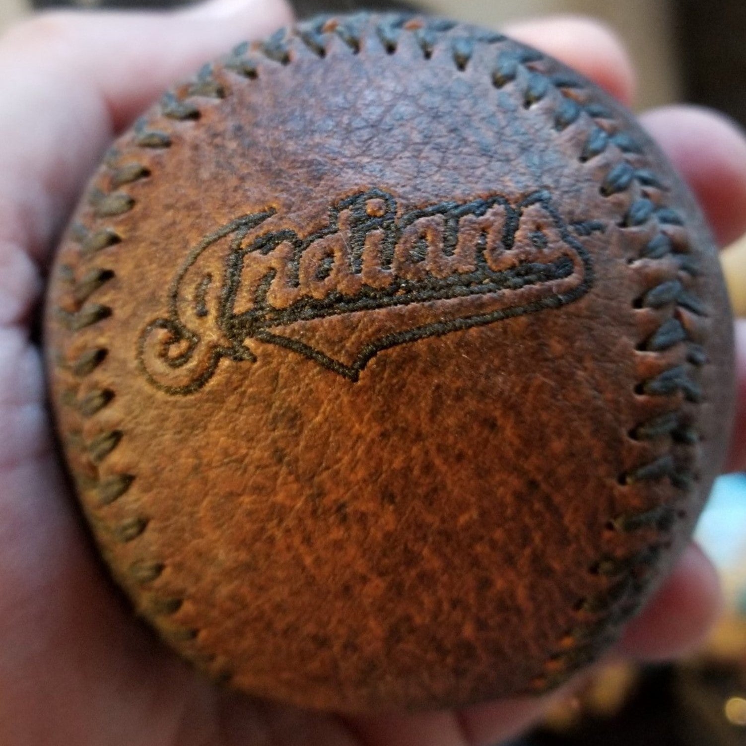 About Us – Indians Baseball Club